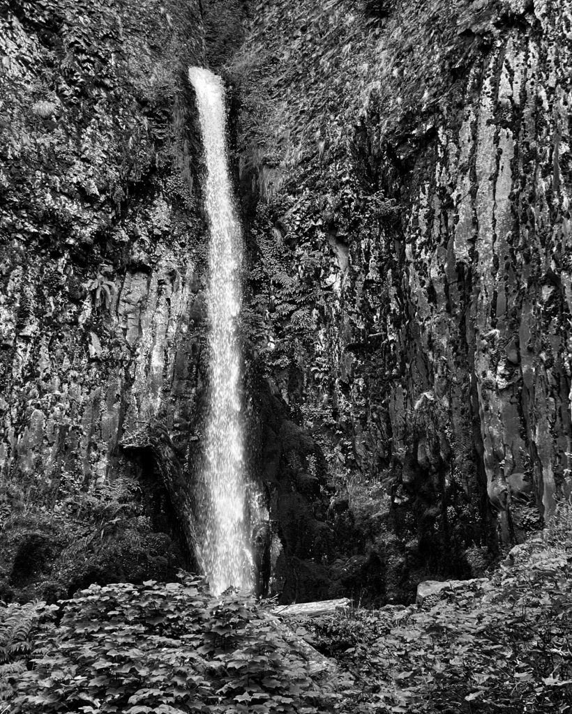 Photography - Brandon Case